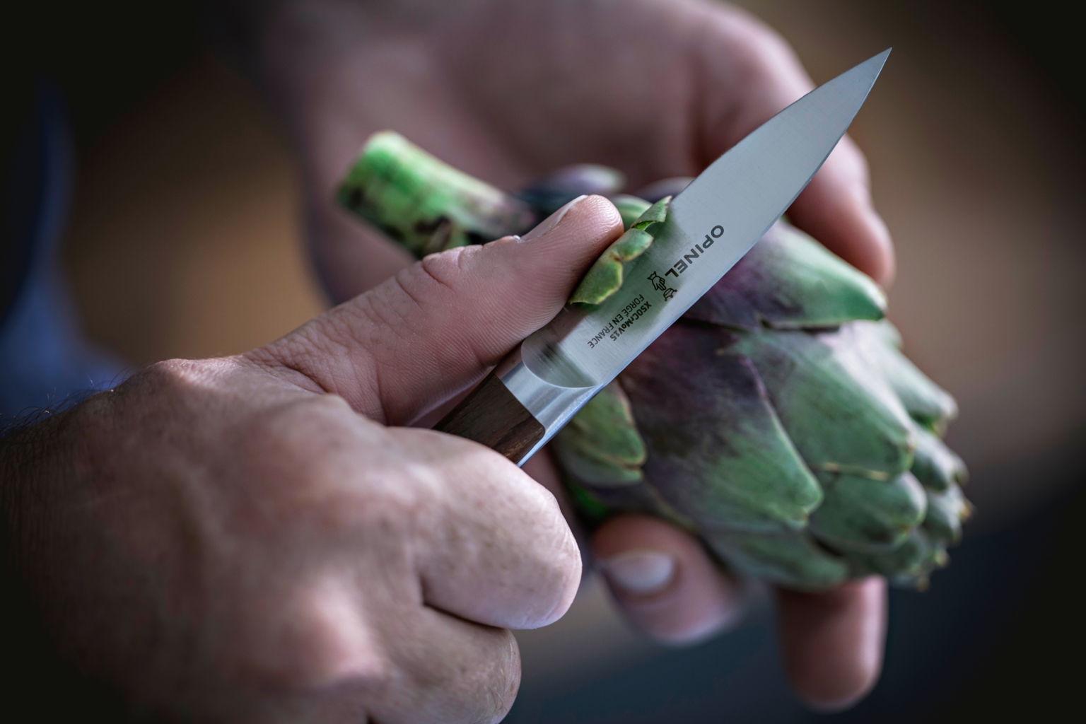 BIG-GAME — LES FORGES 1890